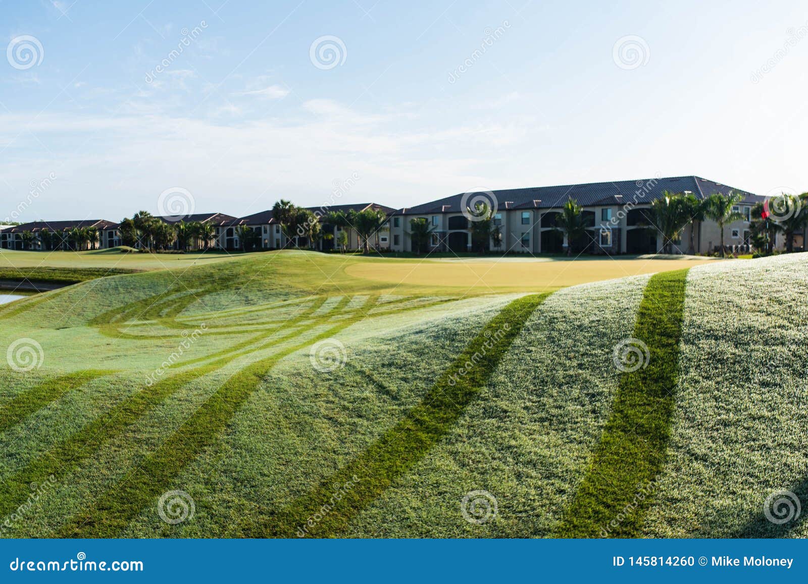 Fresh Morning Dew on the Golf Course Stock Photo - Image of golf ...