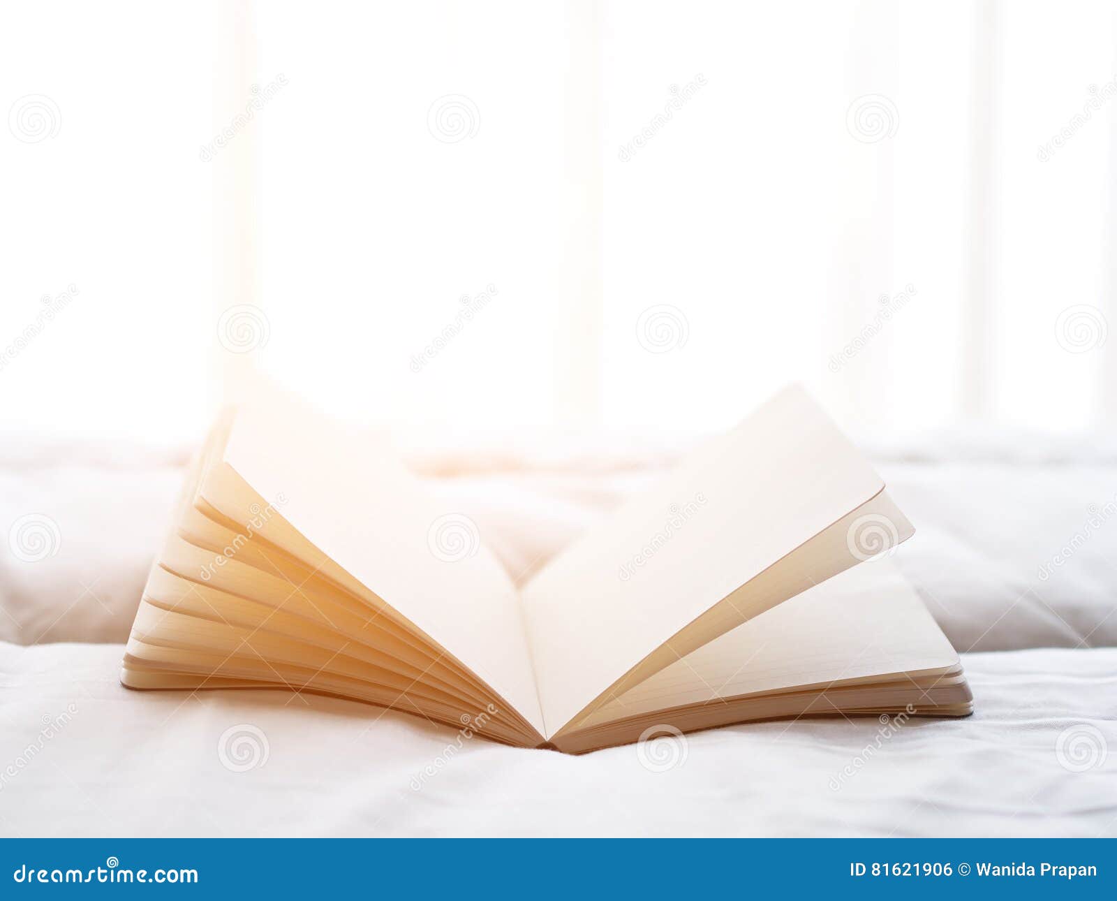 Fresh Morning Read Book on the Bed Stock Photo - Image of lifestyles ...