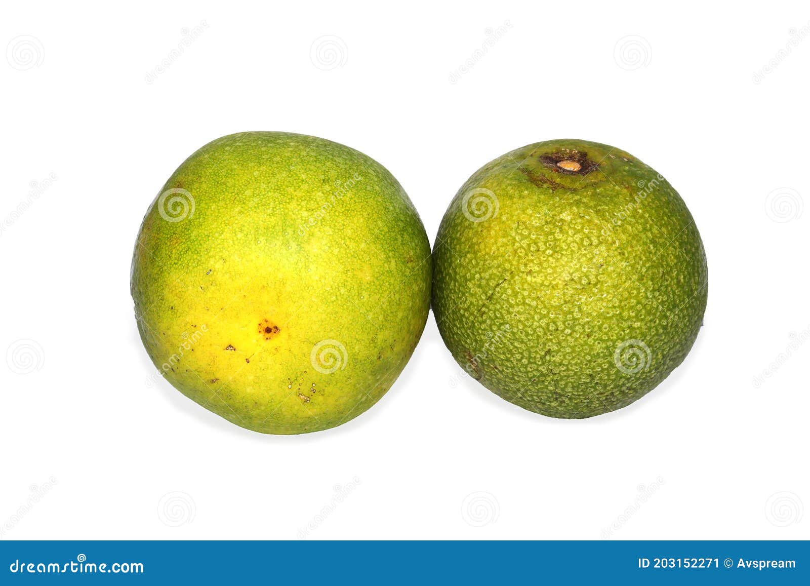 Fresh Mosambi Isolated on White Background Stock Image - Image of ...