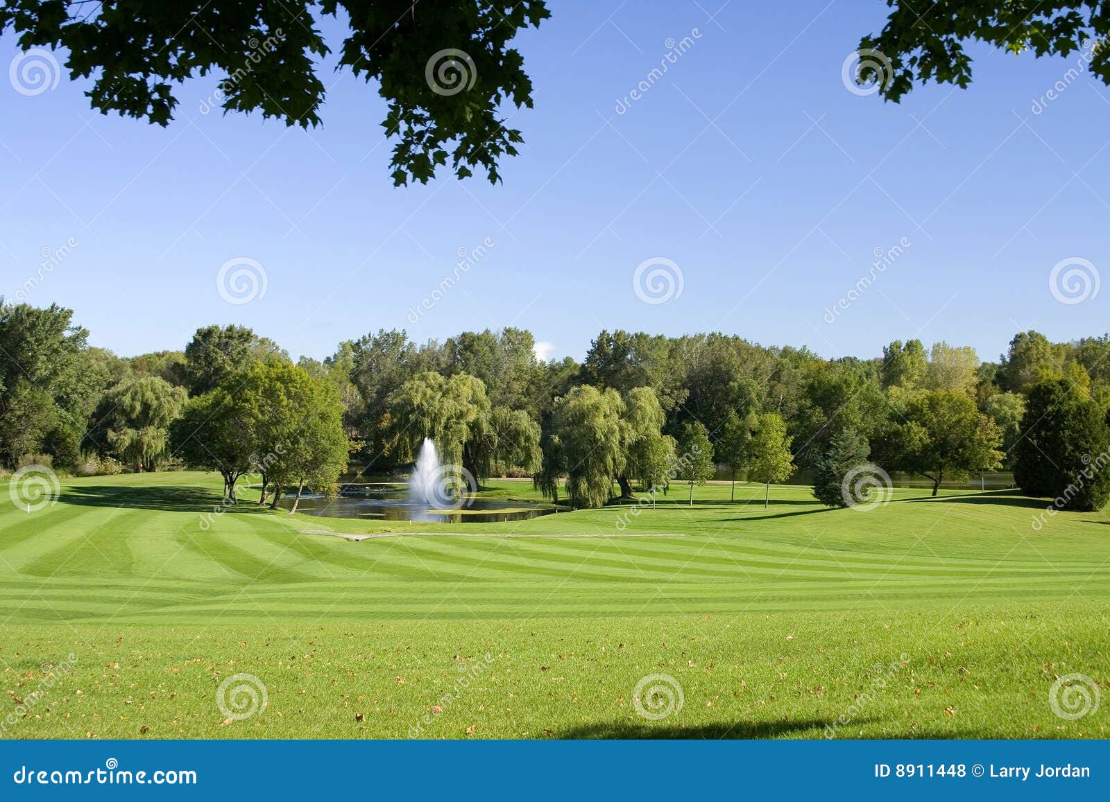 Fresh Mowed Fairway Pattern Stock Photo - Image of water, green: 8911448