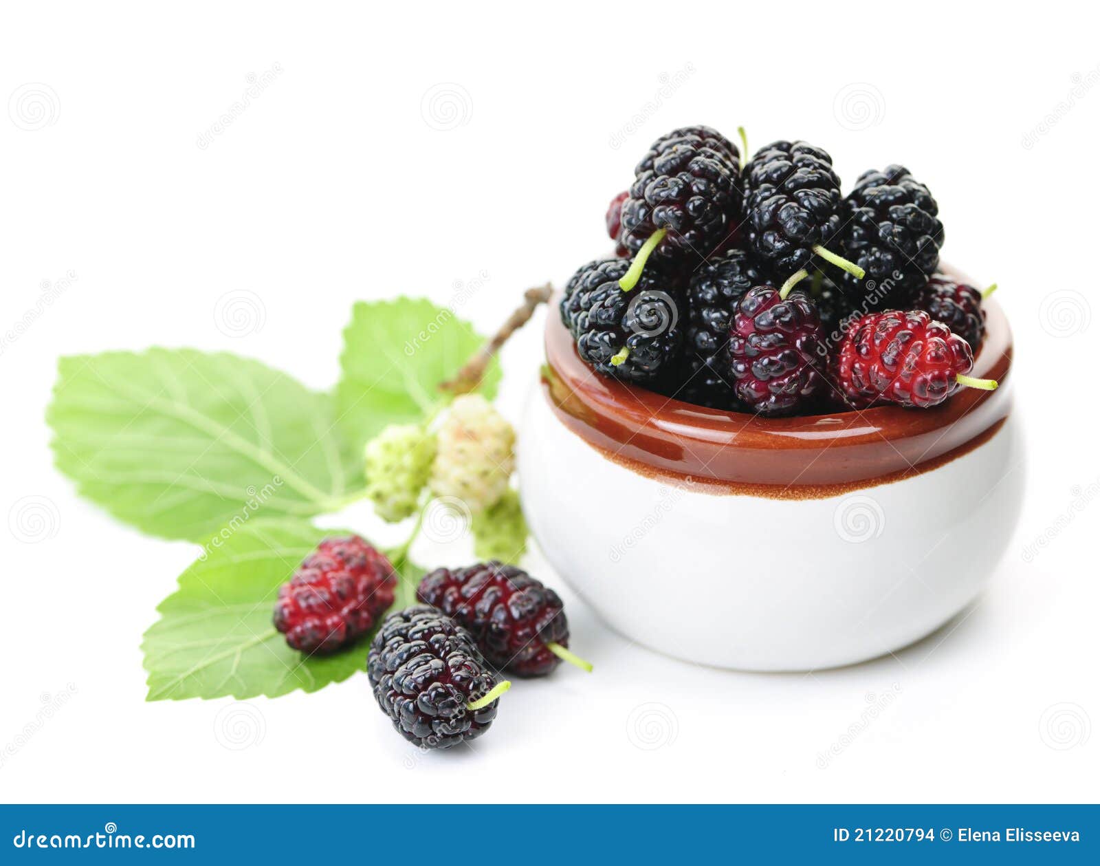 Fresh mulberries stock photo. Image of natural, mulberry - 21220794