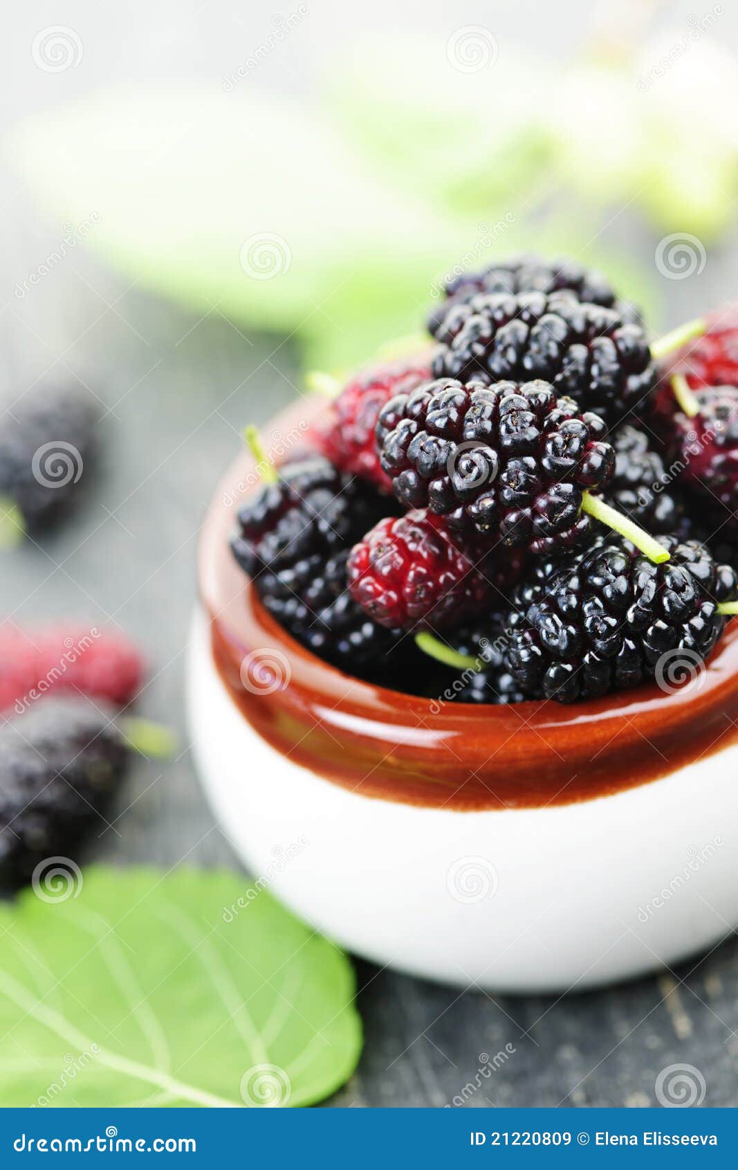 Fresh mulberries stock image. Image of close, pile, background - 21220809