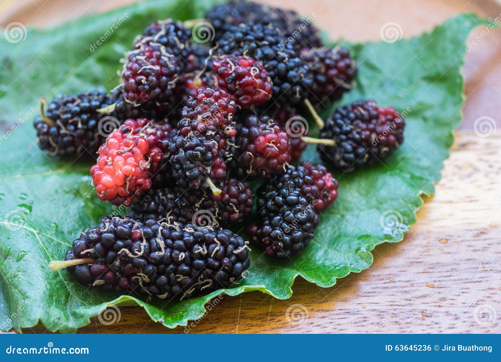 Fresh Mulberries stock photo. Image of green, macro, nature - 63645236