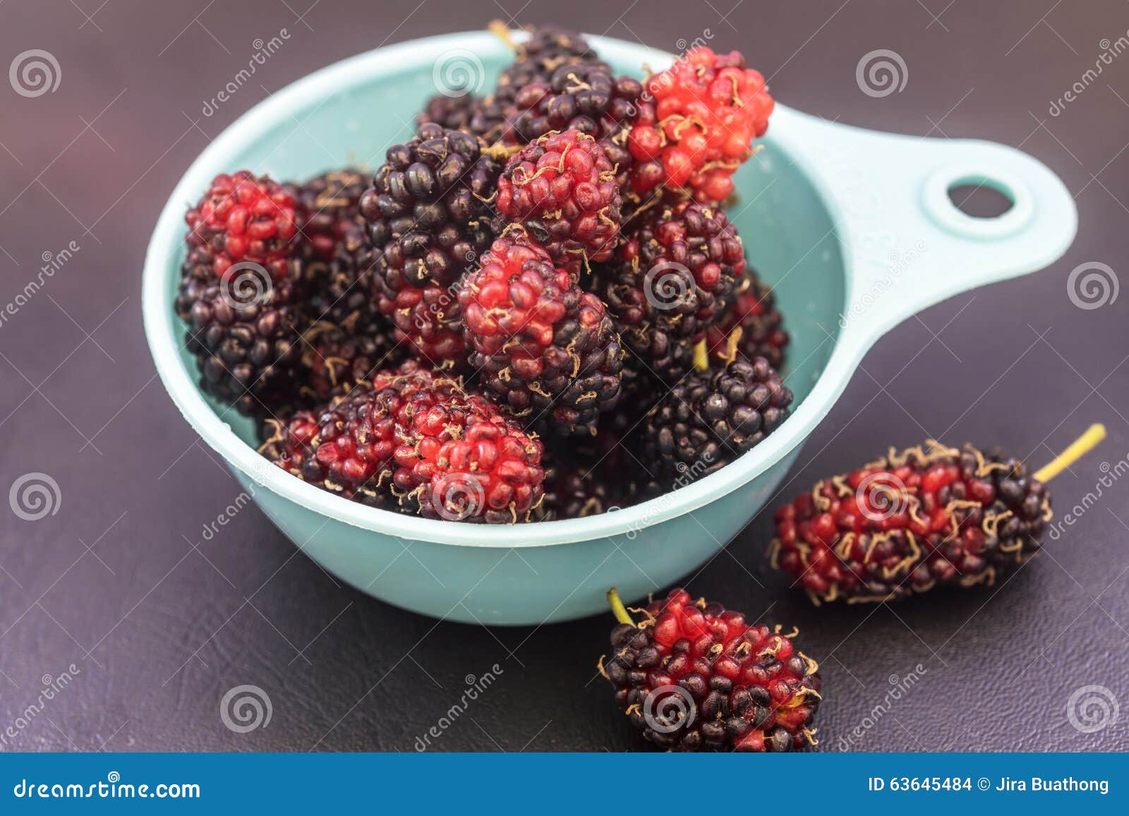 Fresh Mulberries stock photo. Image of fresh, green, mulberry - 63645484