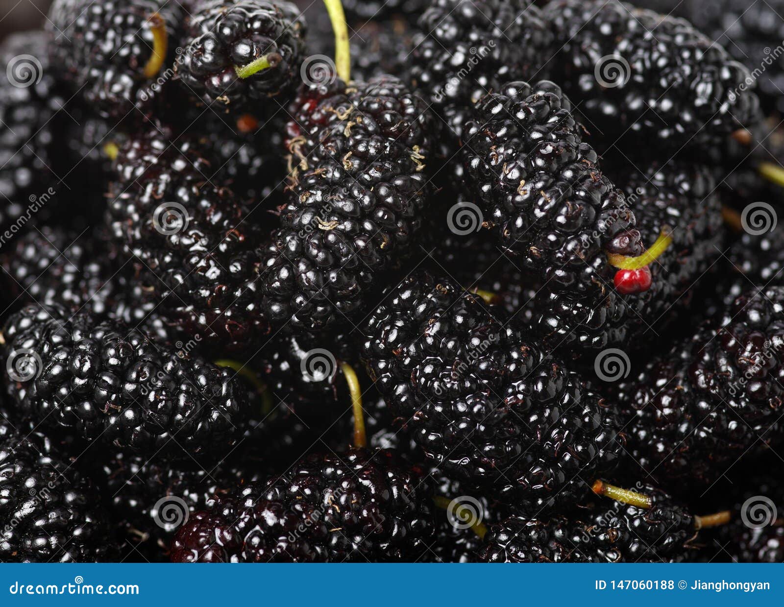 Fresh mulberry background stock photo. Image of refreshment - 147060188