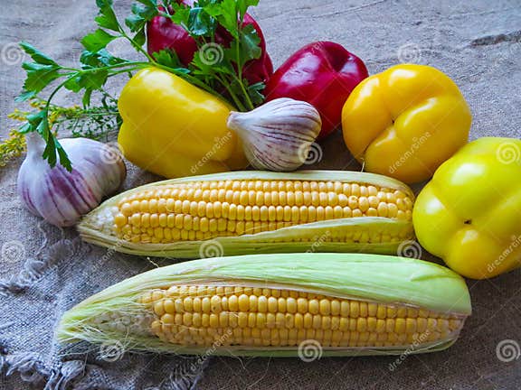 Fresh Multi-colored Vegetables on the Table with Greens Stock Image ...
