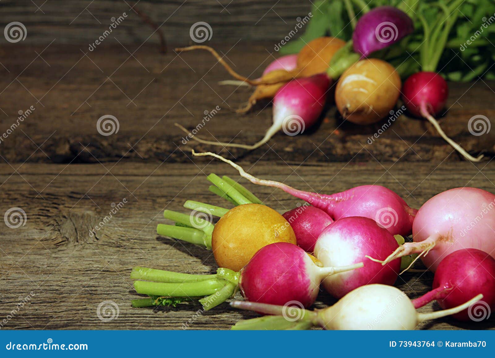 Fresh Multi-coloured Radish Stock Photo - Image of coloured, freshness ...
