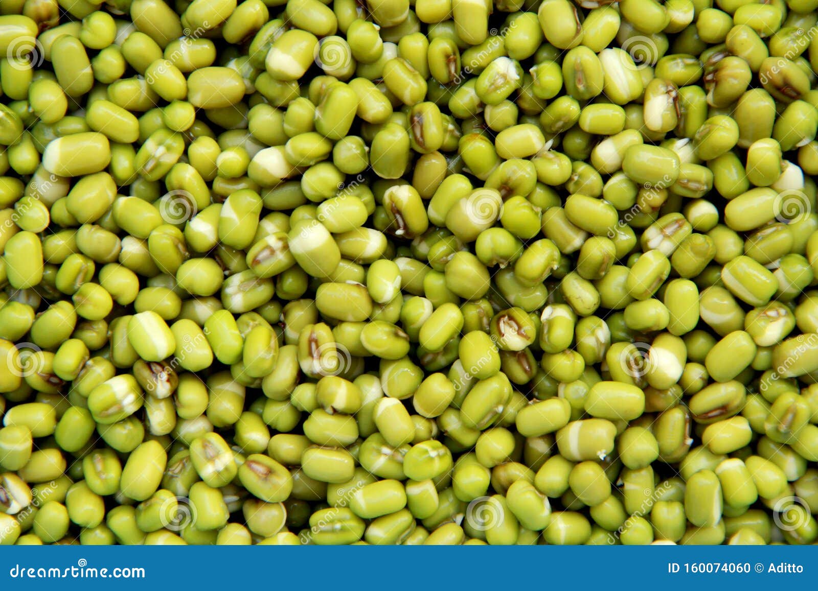 Fresh Mung Bean stock photo. Image of close, nutrition - 160074060