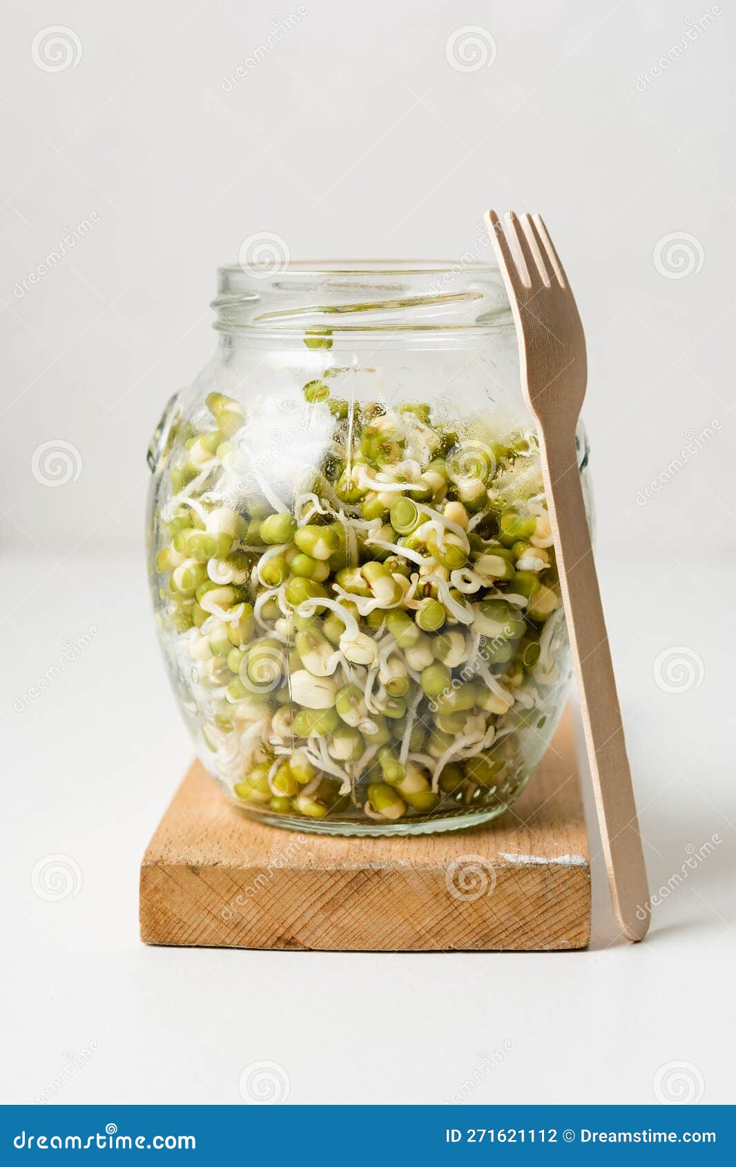 Fresh mung bean sprouts stock photo. Image of herb, concept - 271621112