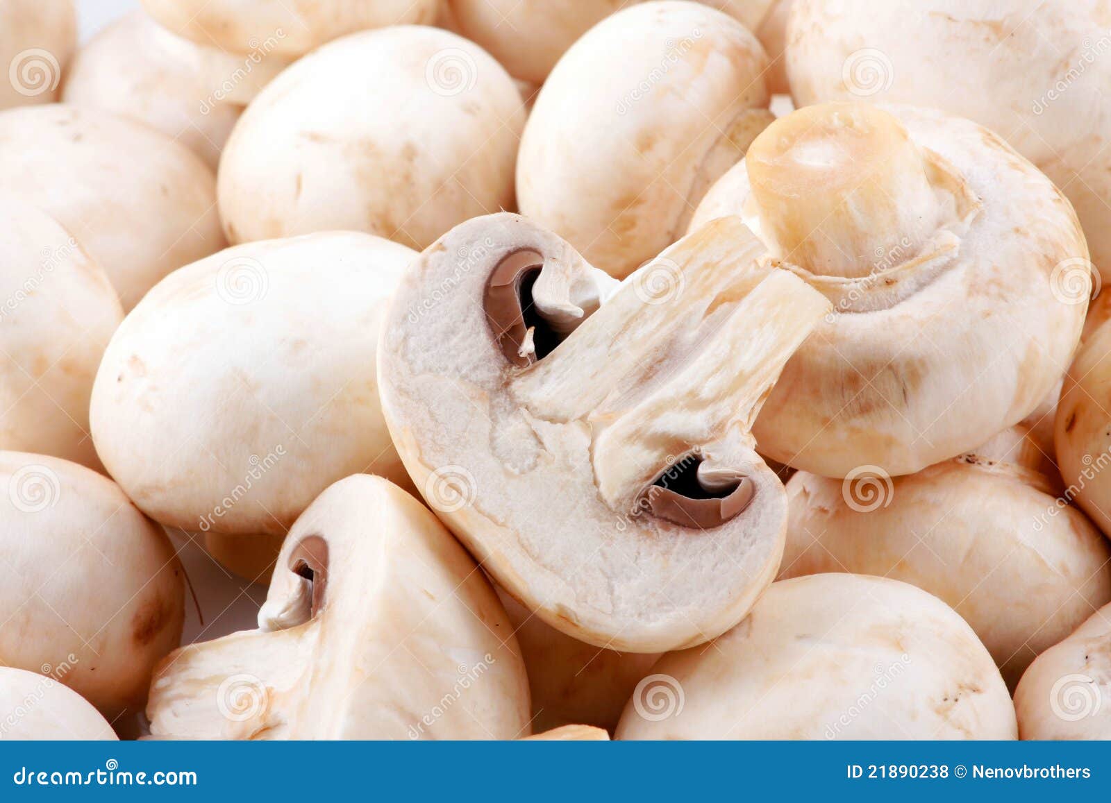 Fresh mushroom stock photo. Image of white, beige, champignons - 21890238