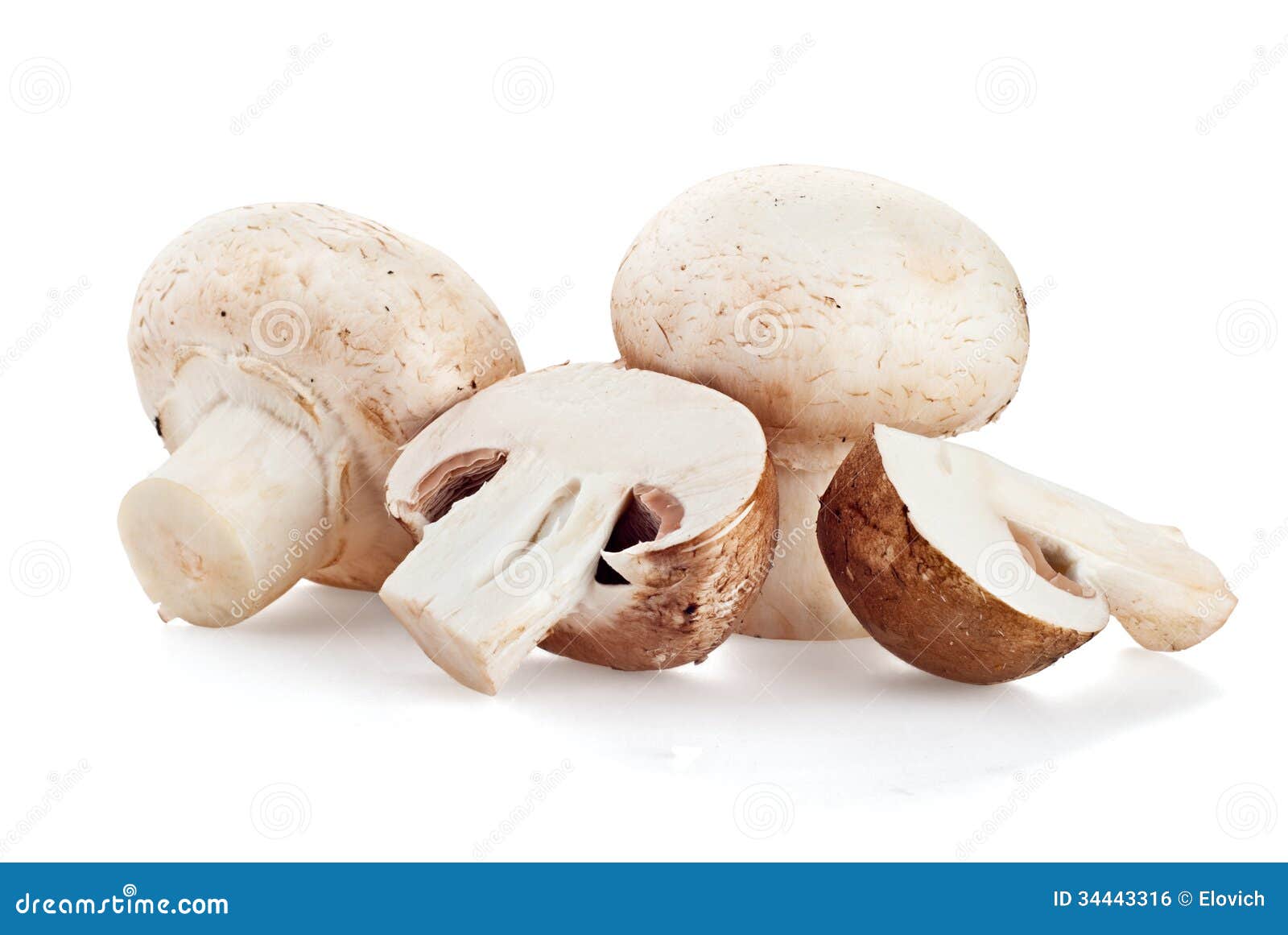 Fresh Mushroom Stock Image | CartoonDealer.com #16232803