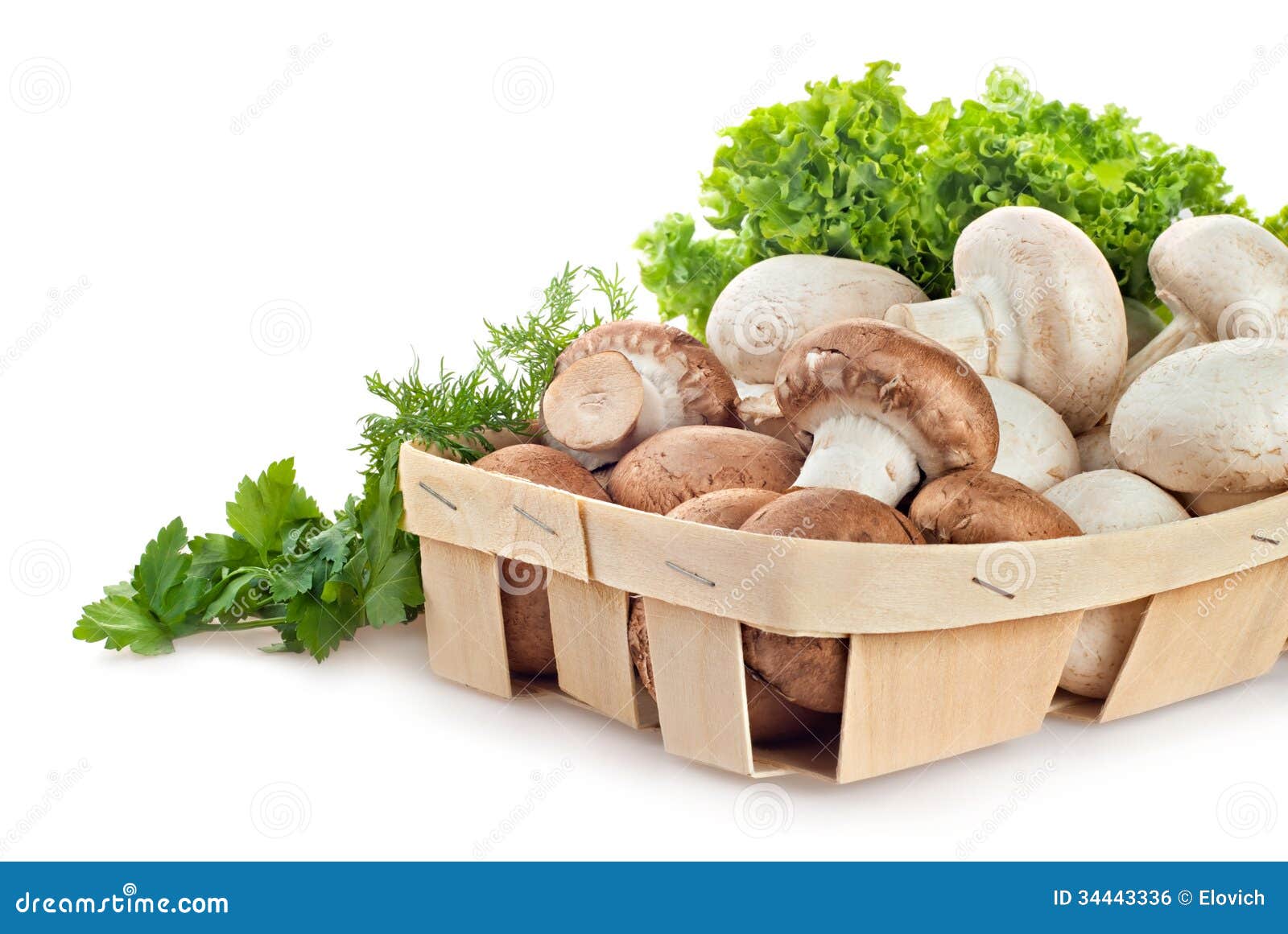 Fresh Mushroom Stock Image | CartoonDealer.com #16232803