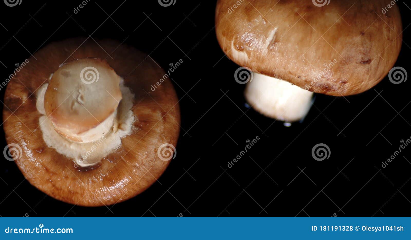Fresh Mushroom Rotating on the Table. Stock Footage - Video of group ...