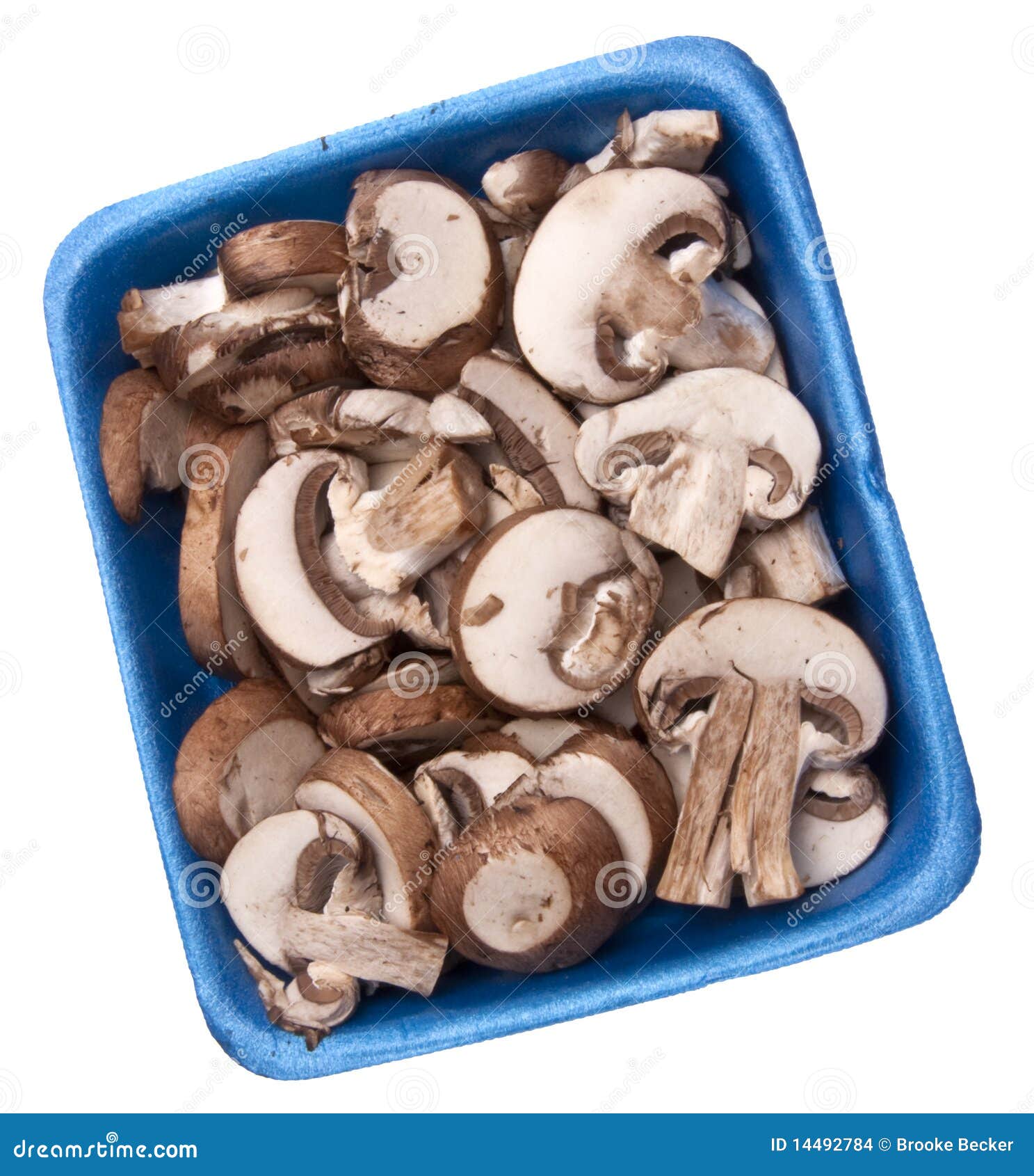 Fresh Mushroom Slices stock photo. Image of mushroom - 14492784