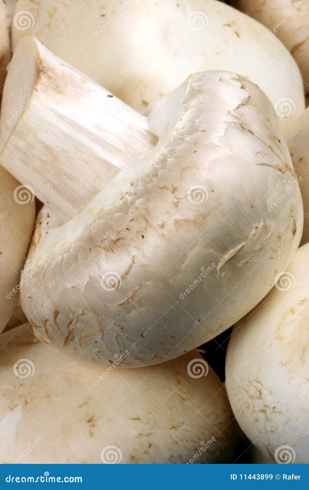 Fresh mushrooms stock image. Image of diet, salad, restaurant - 11443899