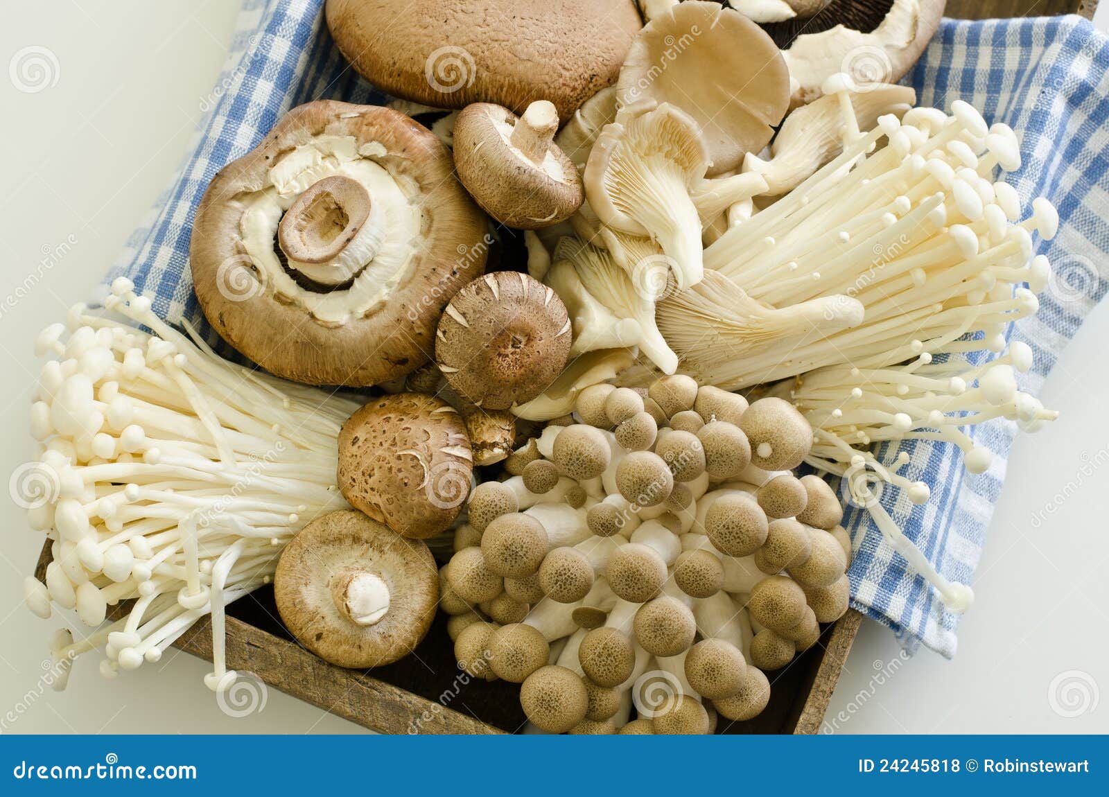 Fresh mushrooms stock photo. Image of fungi, vitamins - 24245818