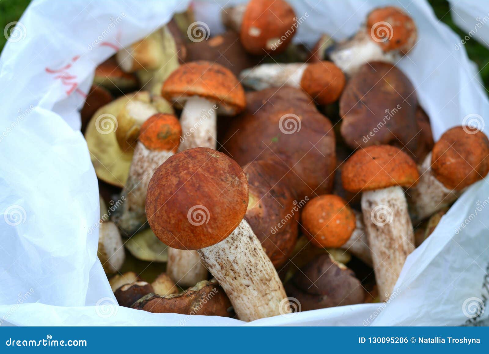 Fresh Mushrooms Top View Background Stock Photo - Image of mushrooms ...