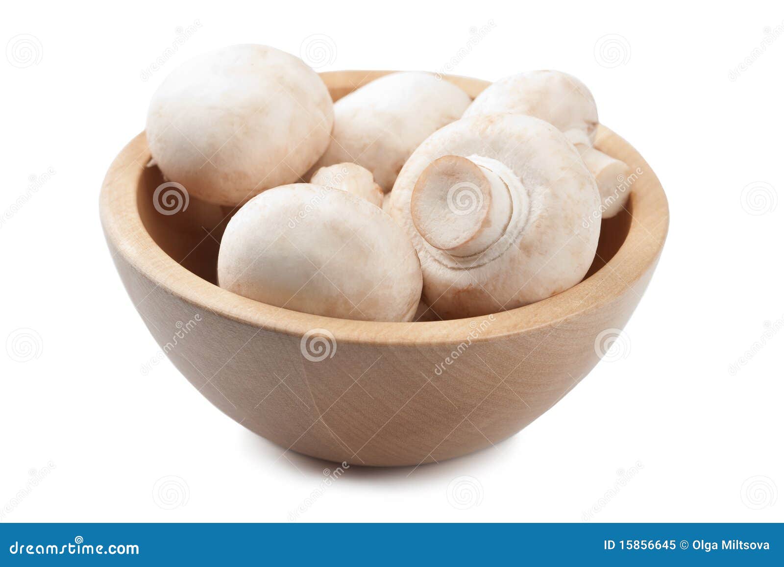 Fresh Mushrooms in Bowl Isolated Stock Image - Image of group, harvest ...
