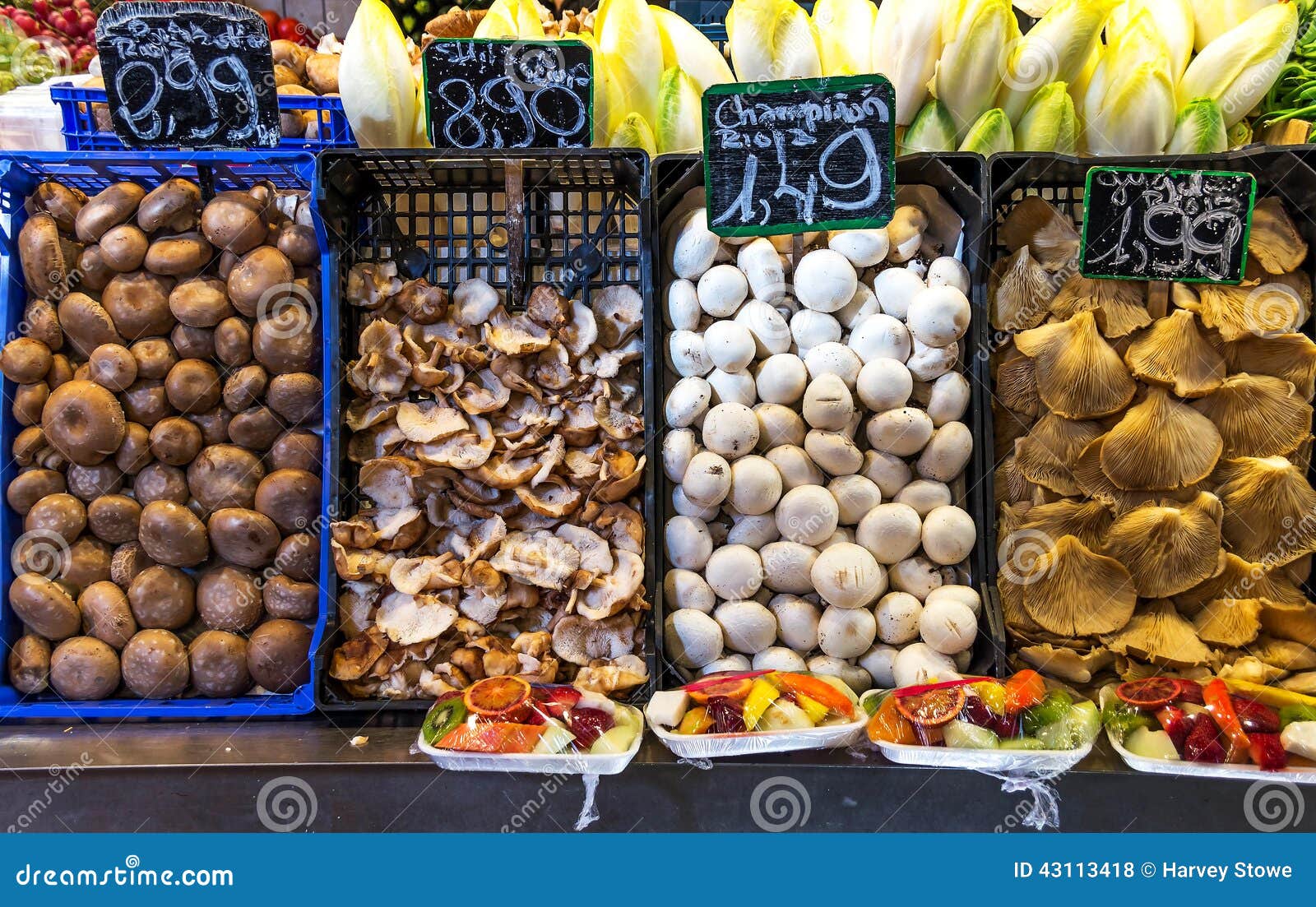 Fresh Mushrooms. stock photo. Image of kitchen, lunch - 43113418