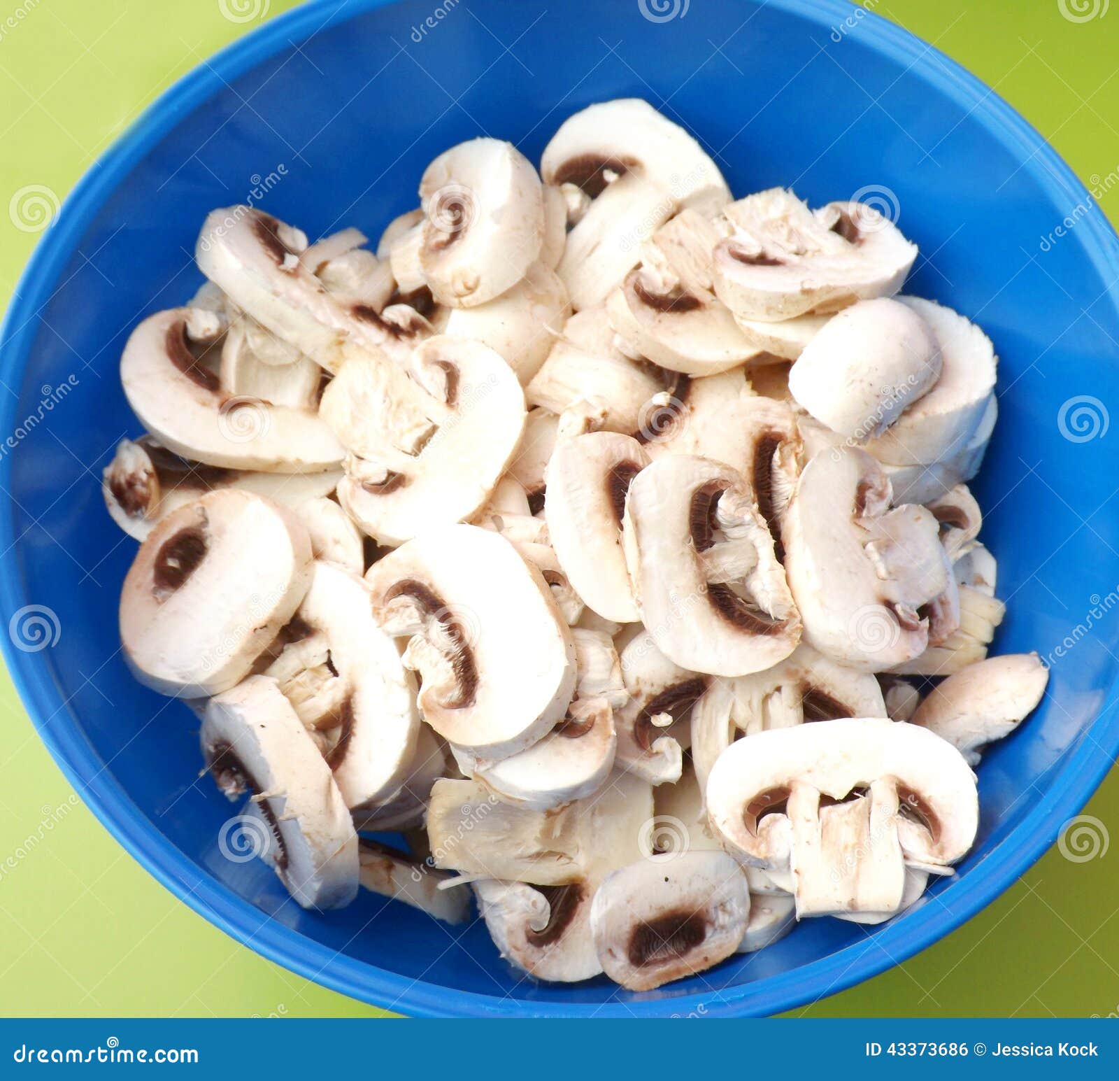 Fresh mushrooms stock photo. Image of mushroom, fresh - 43373686