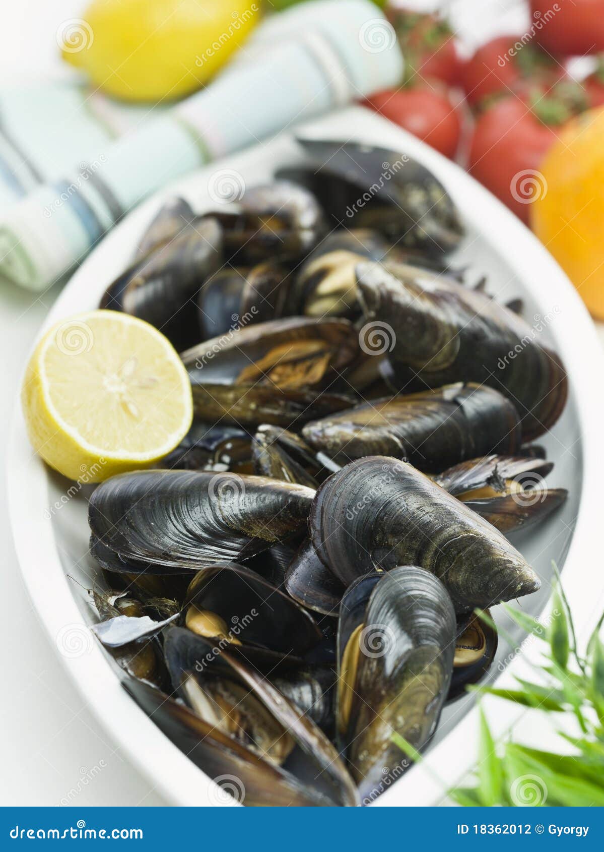 Fresh Mussel stock photo. Image of food, eating, macro - 18362012