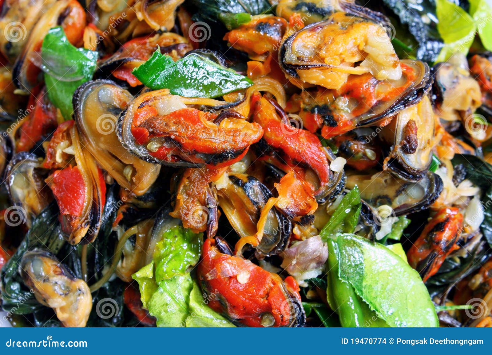 Fresh mussels stock photo. Image of food, vegetable, omega - 19470774