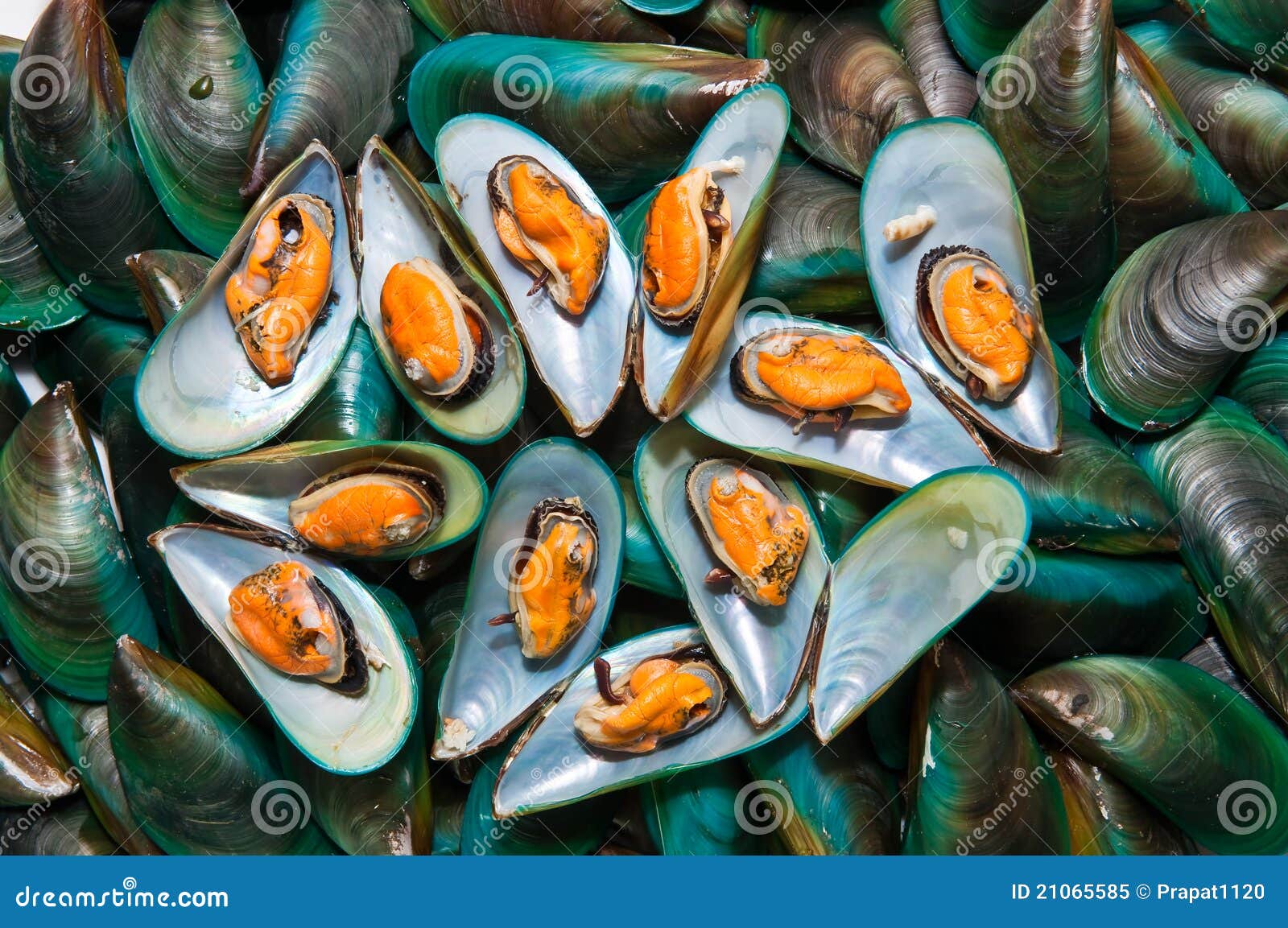 Fresh mussels stock image. Image of fishmonger, cook - 21065585