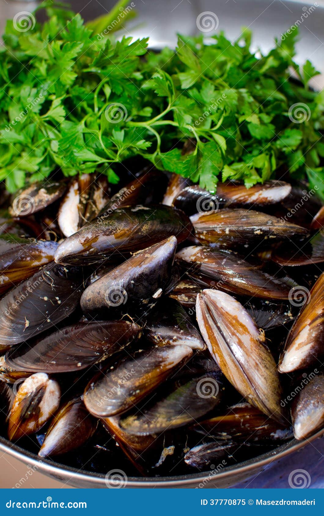 Fresh mussels stock image. Image of healthy, seafood - 37770875