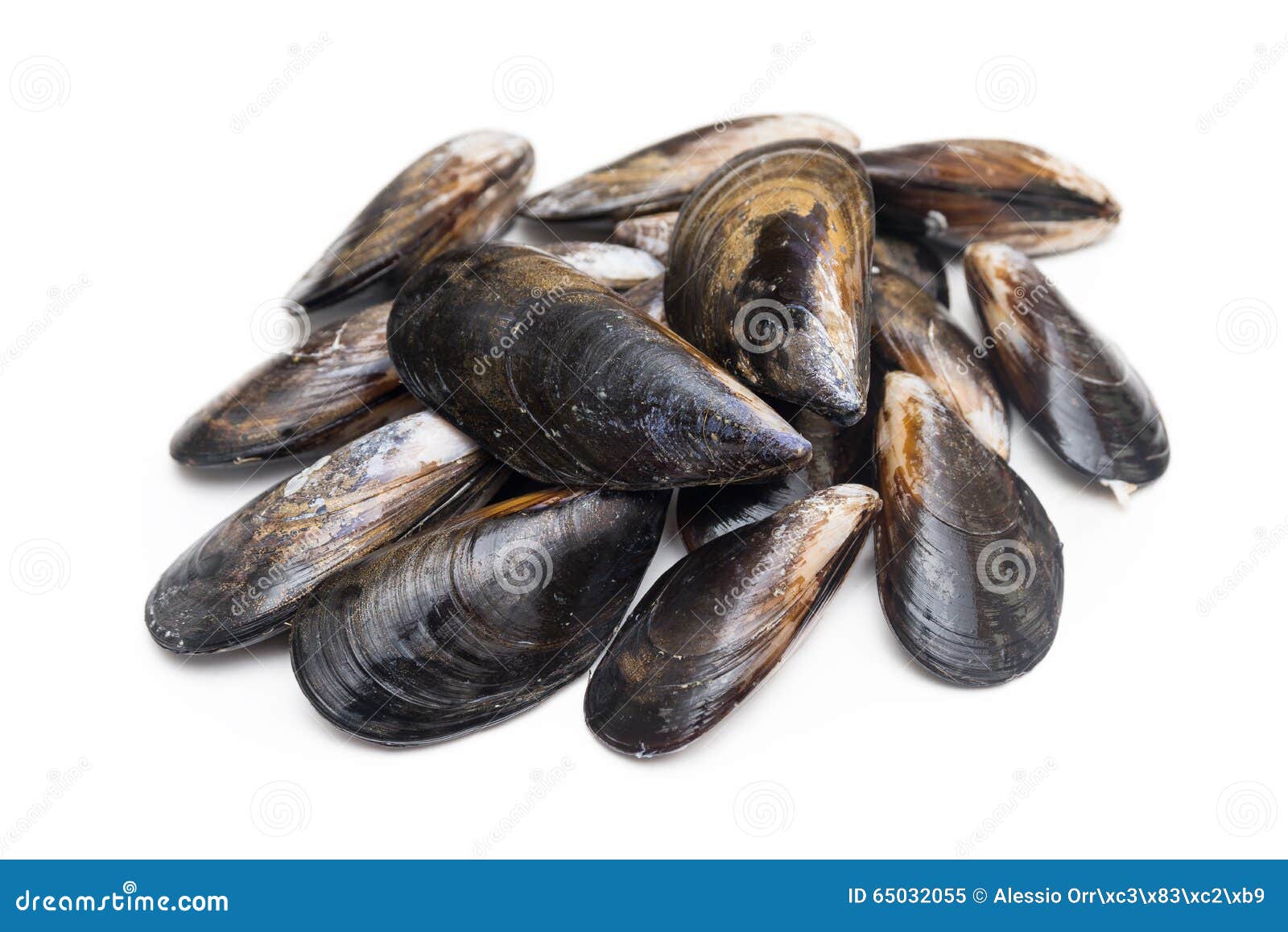 Fresh mussels stock image. Image of fresh, culinary, food - 65032055