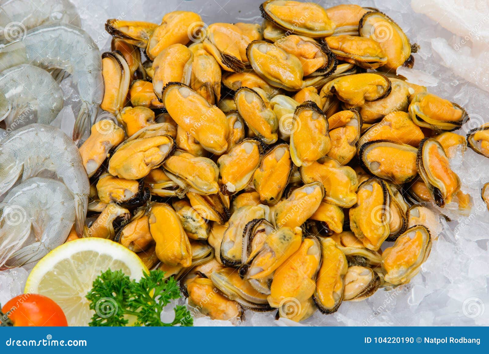 Fresh Mussels on Ice Seafood Stock Photo - Image of food, frozen: 104220190