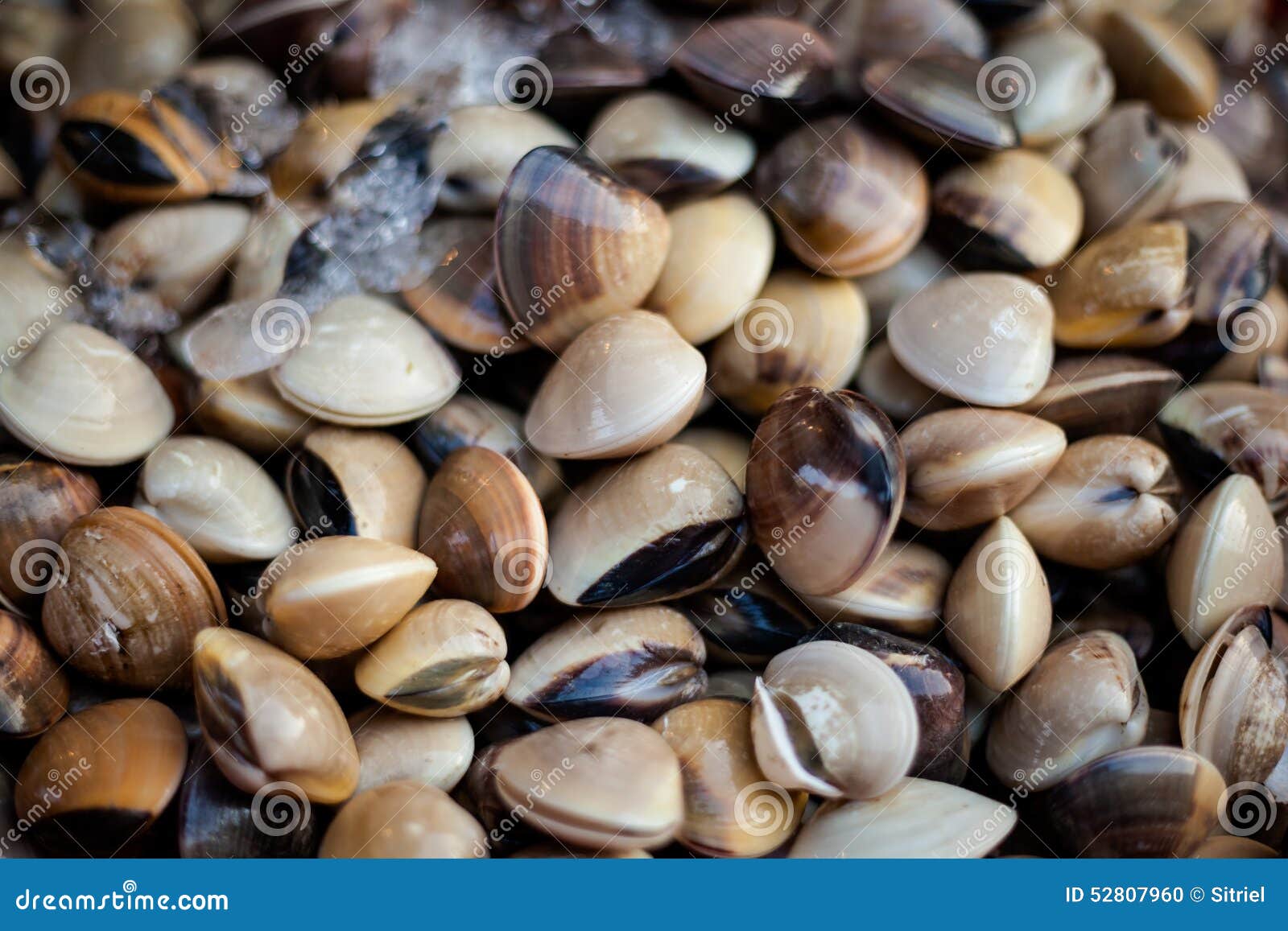 Fresh mussels on market stock photo. Image of pattern - 52807960