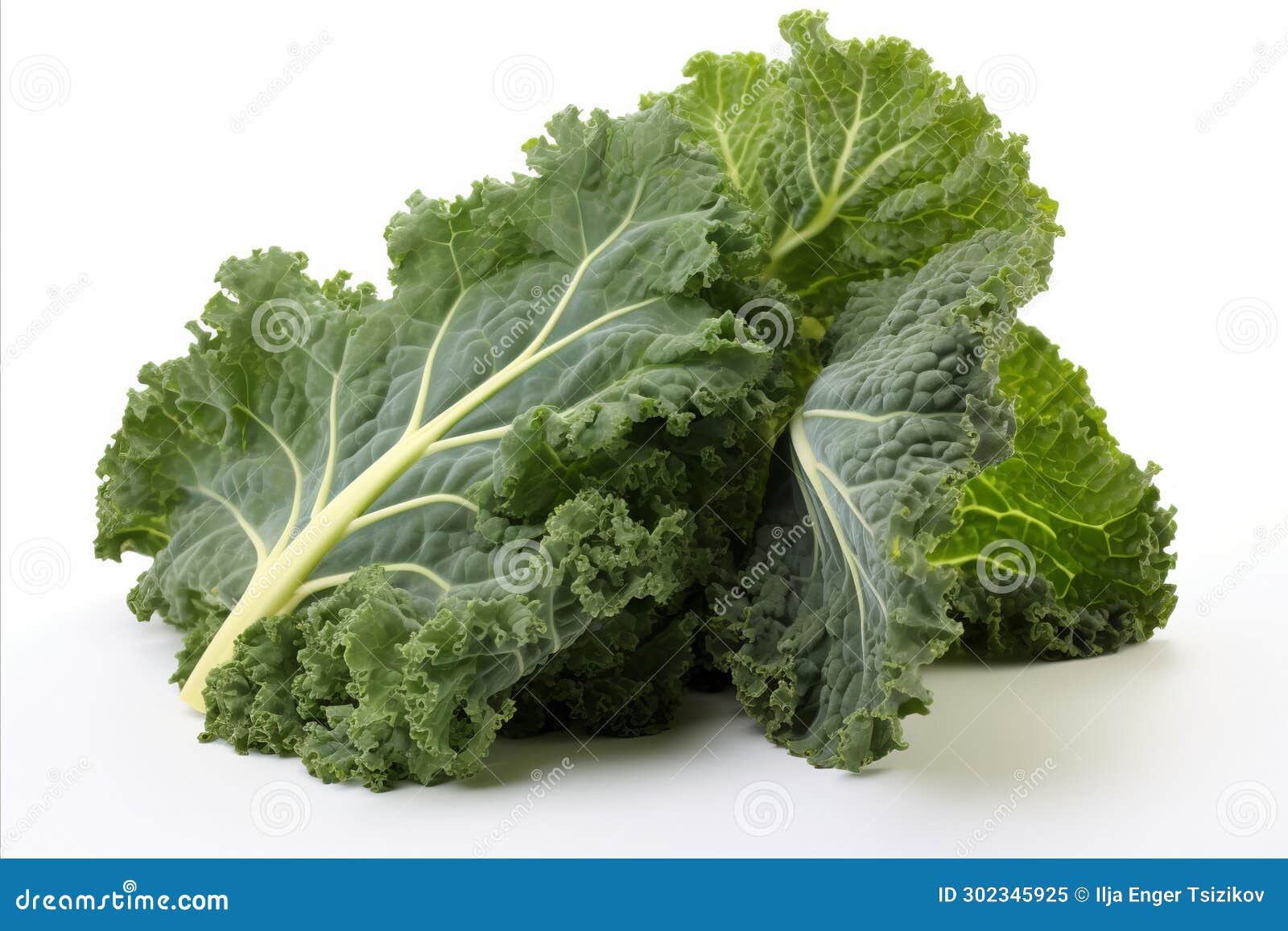 Stunning Mustard Yellow & Blush Pink Interior W Award-Winning 8K Desig ...