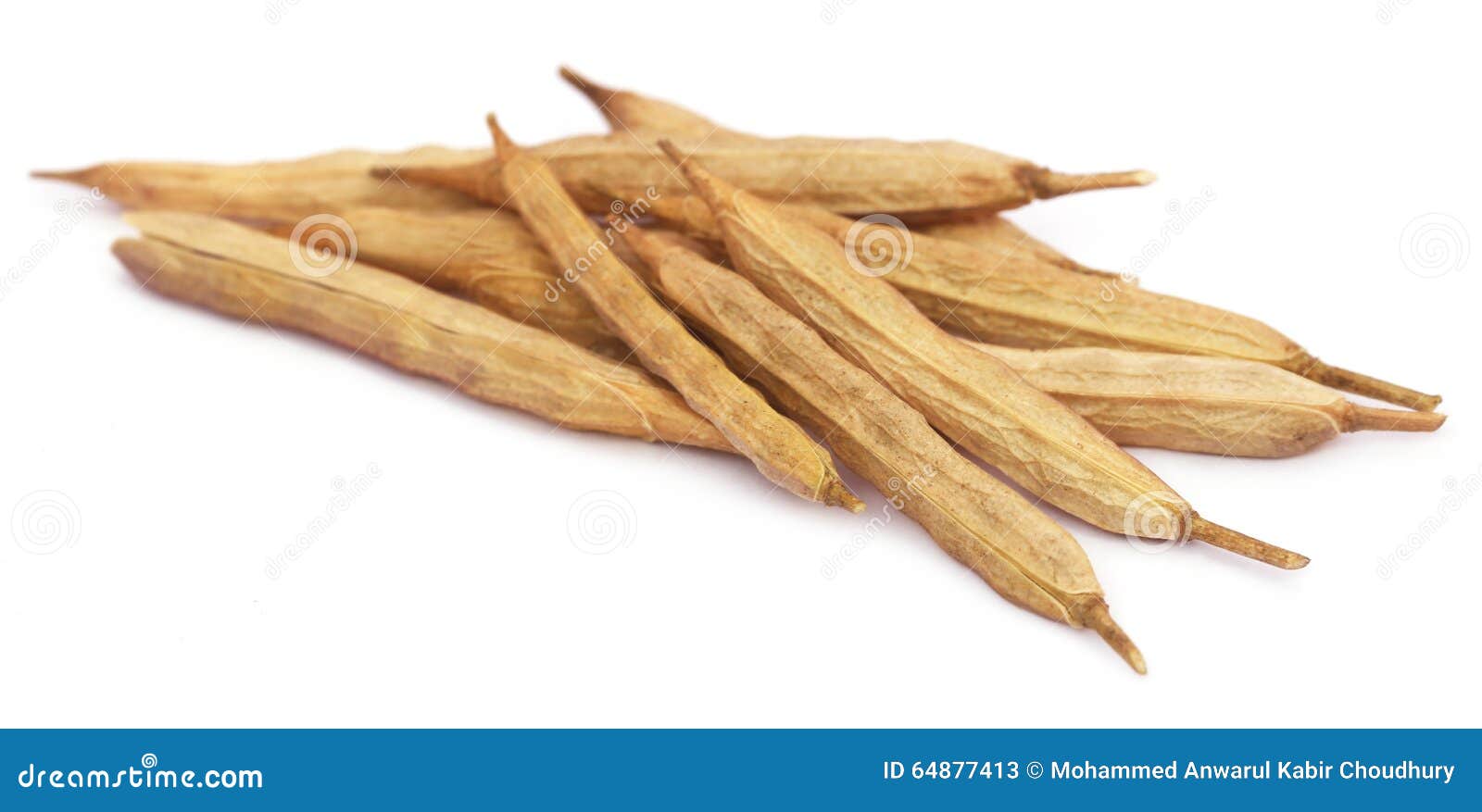 224 Fresh Mustard Pod Photos - Free & Royalty-Free Stock Photos from ...