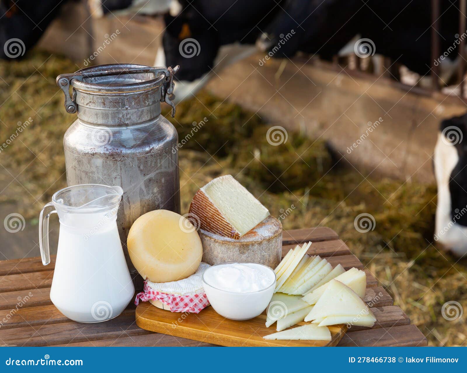 Fresh Natural Farm Dairy Products on Table in Cowshed Stock Photo ...