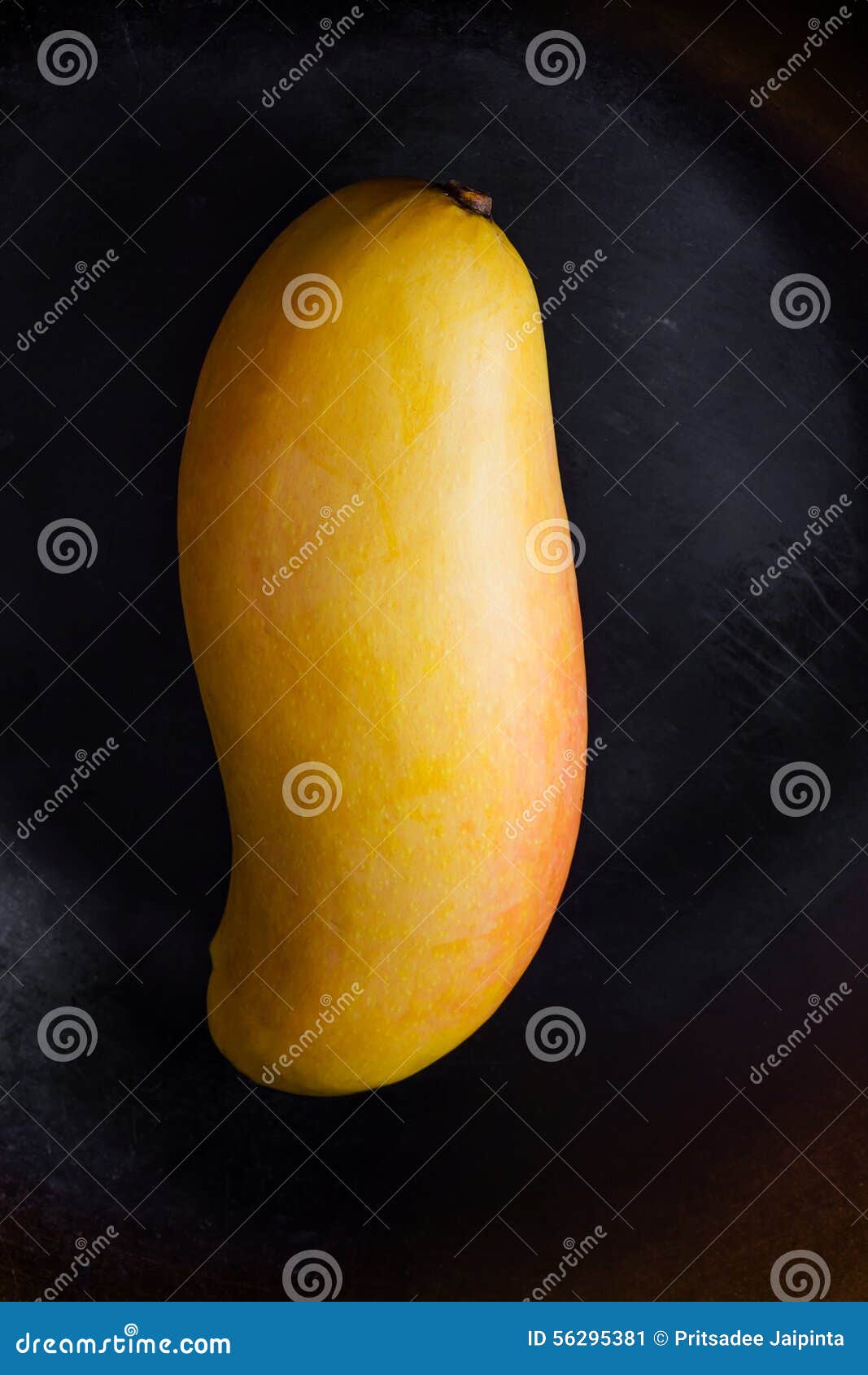 Natural Gum From A Mango Tree Bark Royalty-Free Stock Photography ...