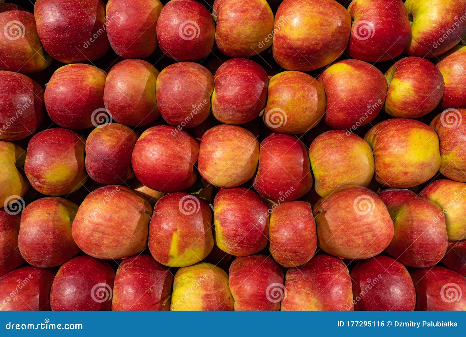 Fresh Natural Red Apples, Close Up, Shallow Depth of Field Stock Photo ...