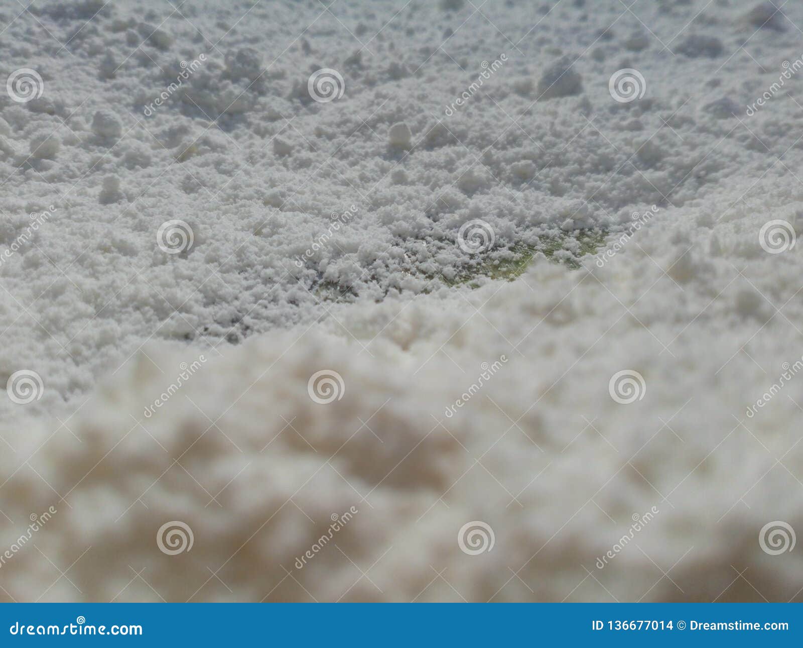 Fresh natural rice powder stock photo. Image of natural - 136677014