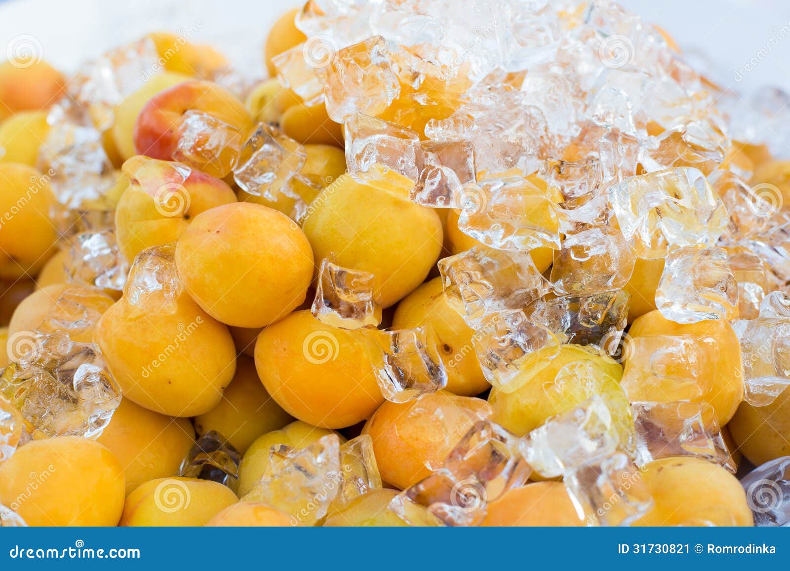 Fresh Natural Ripe Apricots with Ice Cubes Stock Image - Image of macro ...