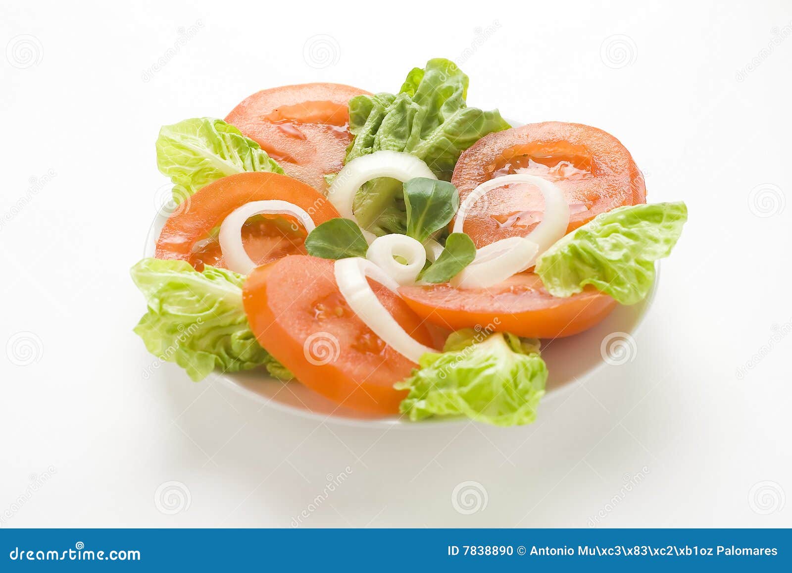 Fresh Natural Salad Bowl Tomato Lettuce Onion Royalty-Free Stock Photo ...