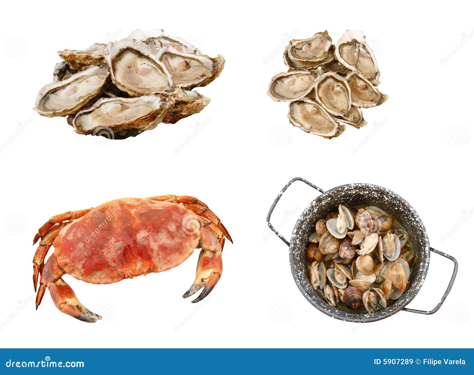 Fresh and Natural Seafood Starters Stock Image - Image of dish, dinner ...