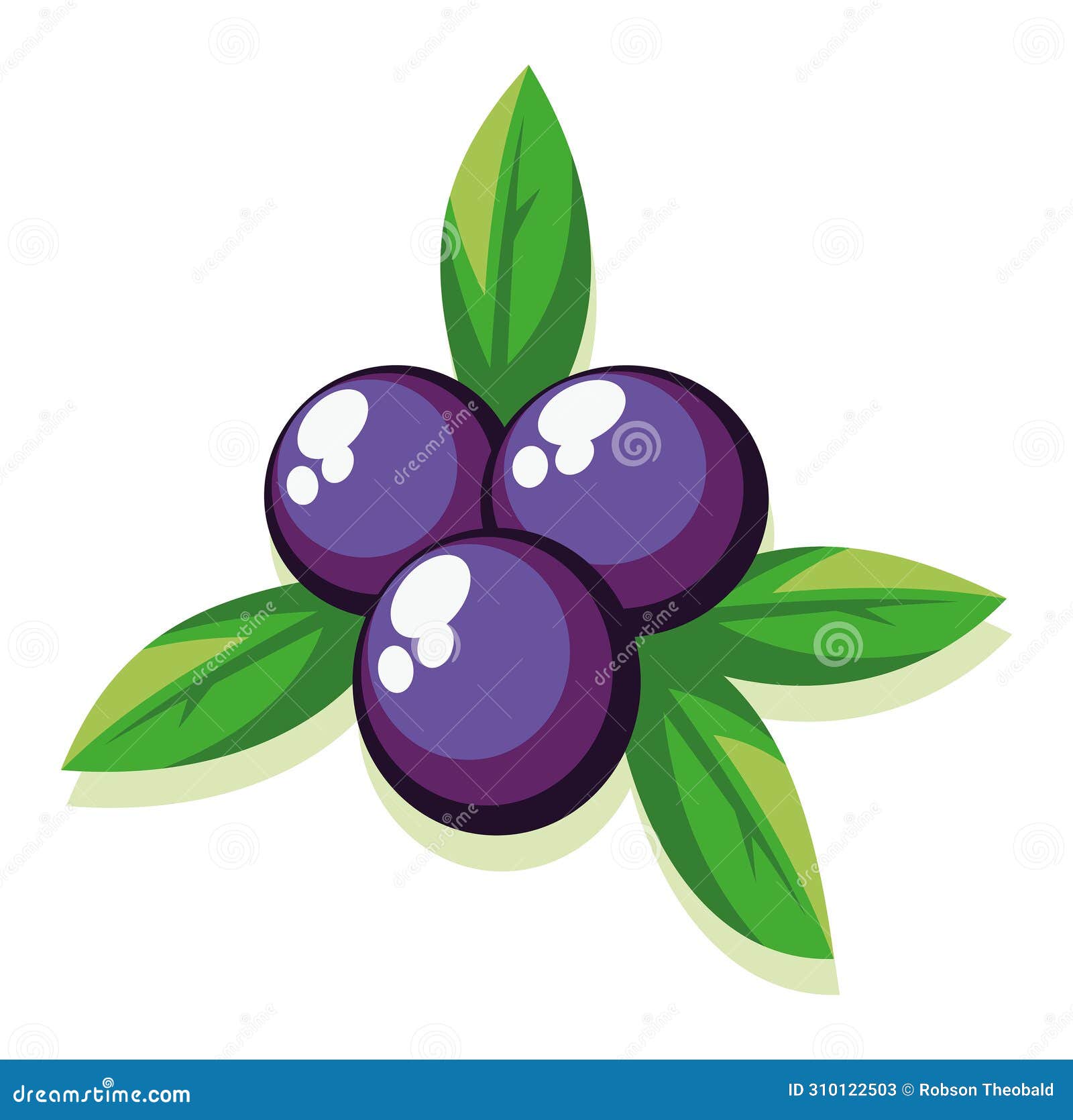 Açaí fresh and natural. stock vector. Illustration of organic - 310122503