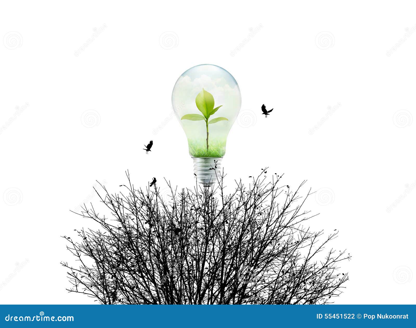 Fresh Nature in Light Bulb and Dry Environment on White Background ...
