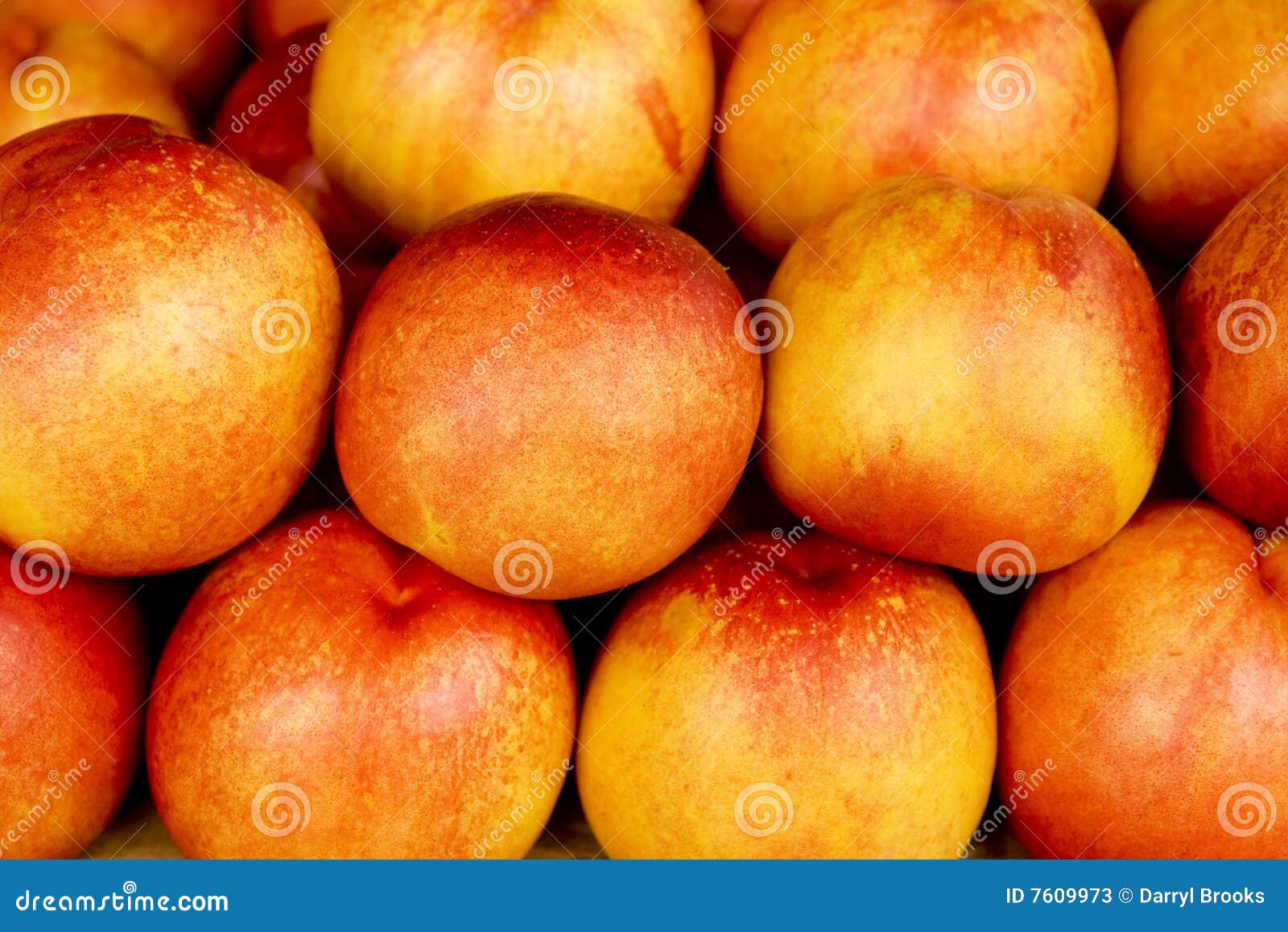 Fresh Nectarines stock image. Image of fresh, nutrition - 7609973