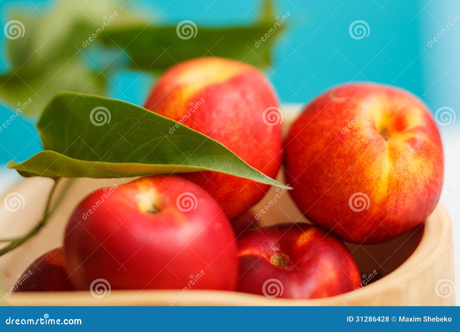 Fresh nectarines stock photo. Image of peach, diet, summer - 31286428