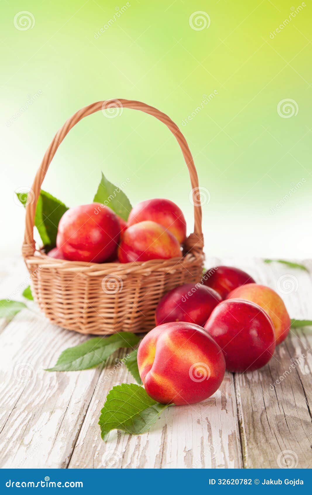 Fresh nectarines stock photo. Image of closeup, dessert - 32620782