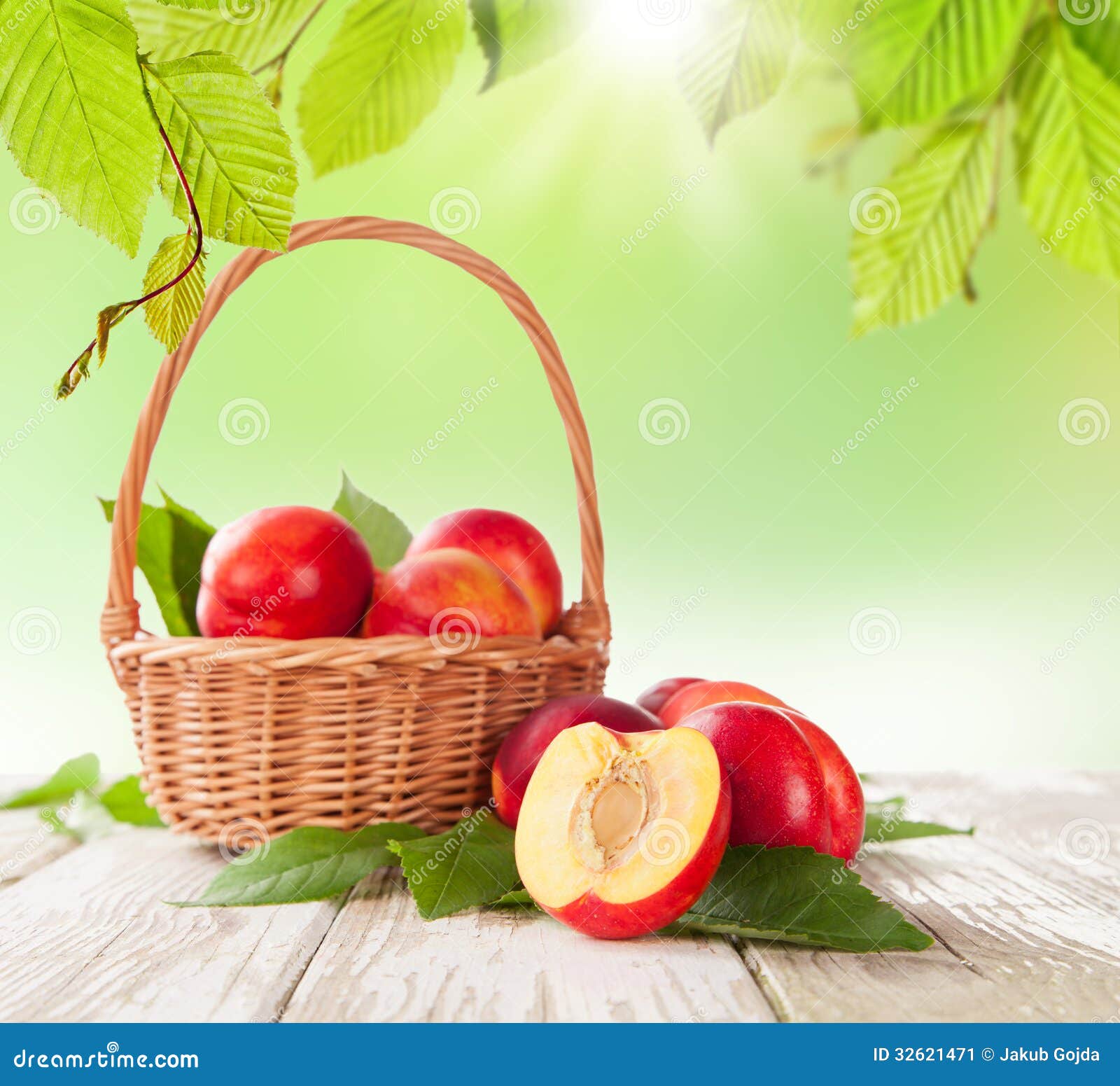 Fresh nectarines stock image. Image of green, grow, garden - 32621471