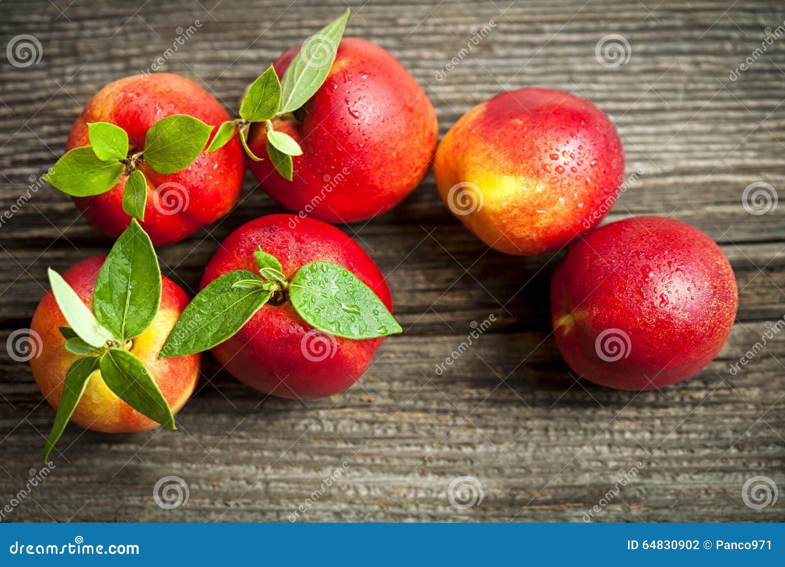 Fresh nectarines stock photo. Image of market, sweet - 64830902