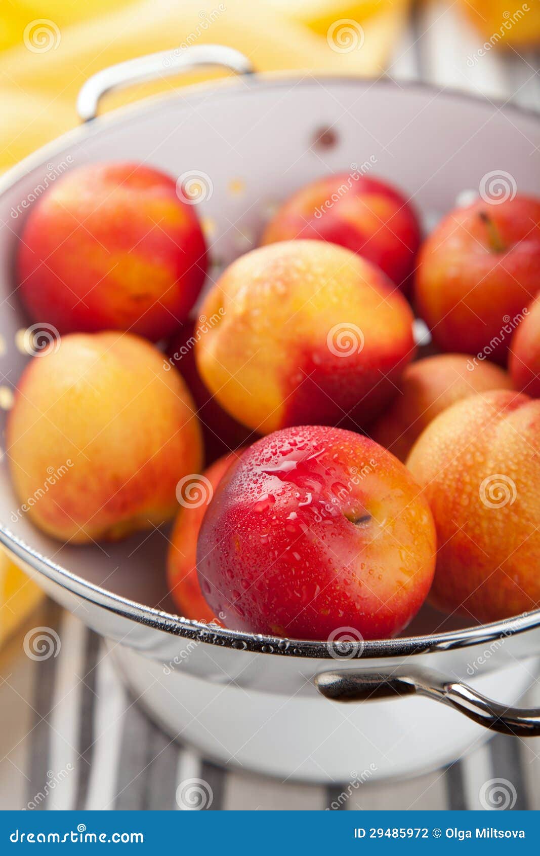 Fresh nectarines and plums stock photo. Image of summer - 29485972
