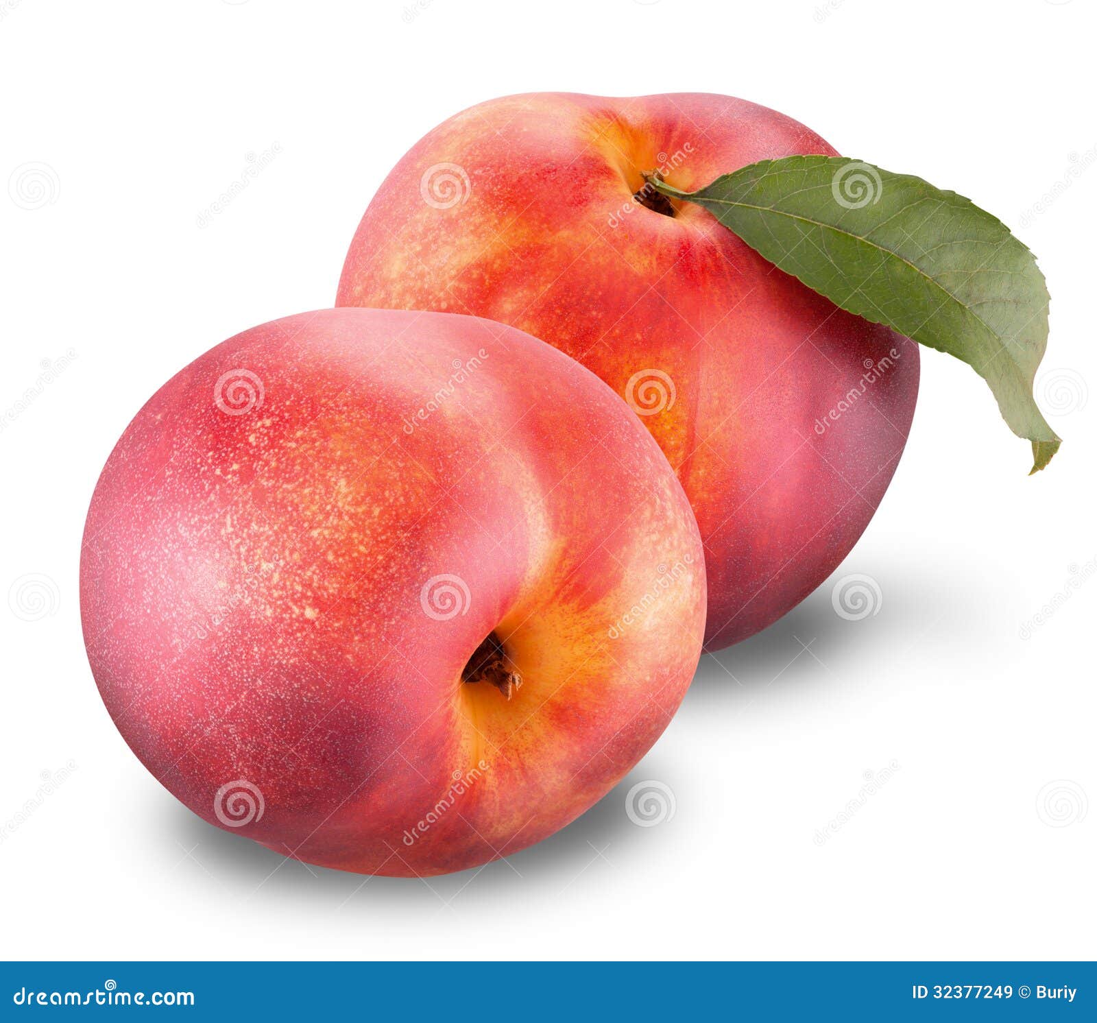 Fresh nectarines stock image. Image of ripe, tasty, fresh - 32377249