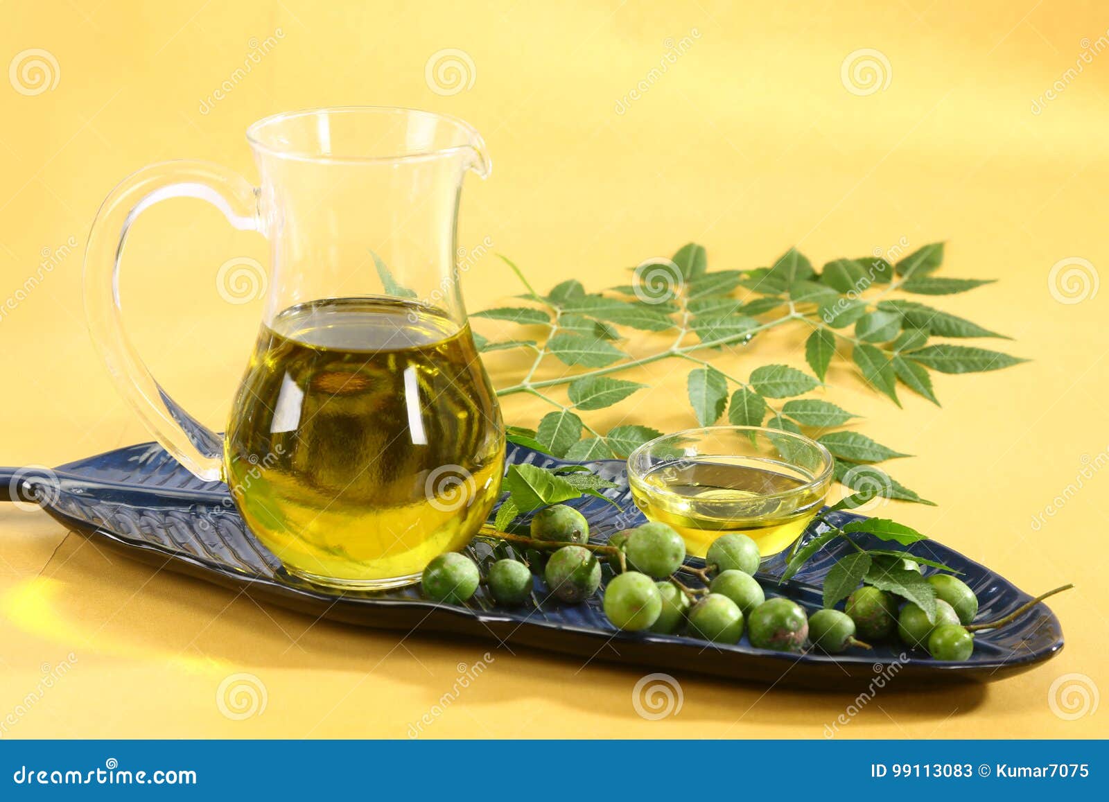 Fresh Neem Leaves with Oil stock image. Image of india - 99113083